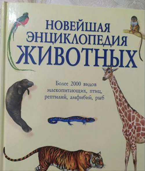 Энциклопедия для детей
