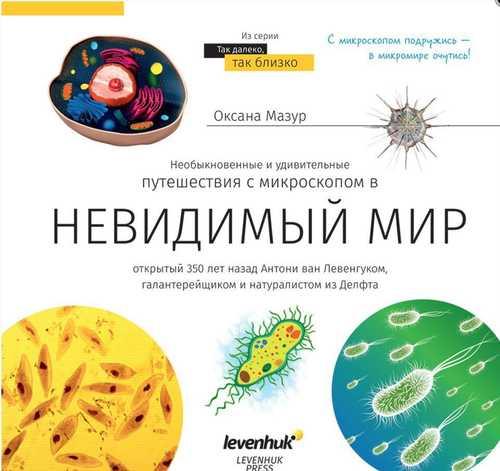 Книга «Невидимый мир»