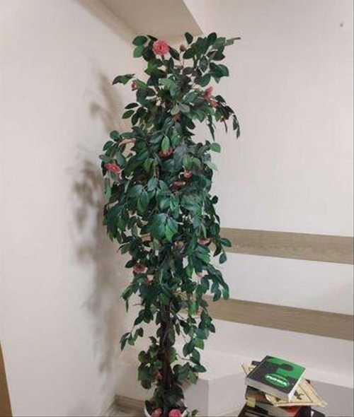 Искусственное дерево, искусственный цветок Шефлера