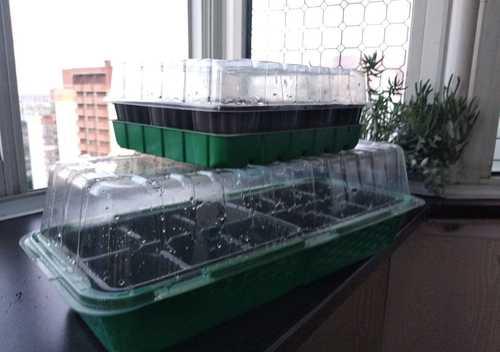 Лотки для рассады