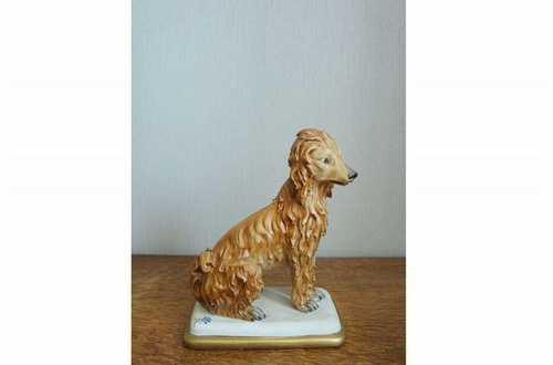 Рыжий пёс Capodimonte Ester фарфоровая статуэтка