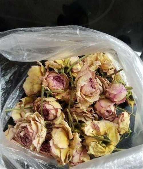 Сухие сушеные засушенные розы бутоны роз