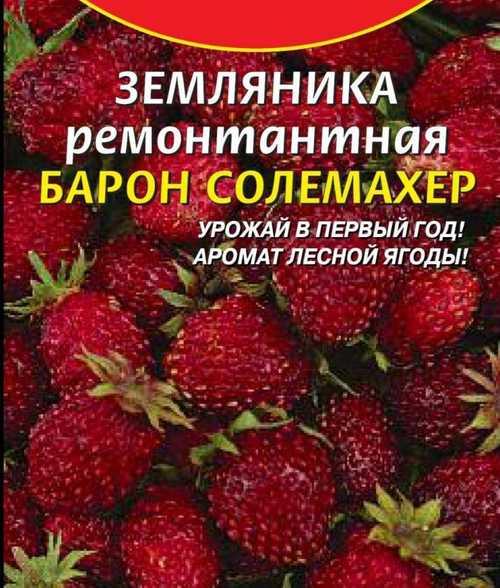 Сорт земляники барон солемахер отзывы. Земляника Барон Солемахер. Клубника Солемахер ремонтантная. Солемахер земляника ремонтантная. Земляника ремонтантная Барон Солемахер (а) 100 шт.