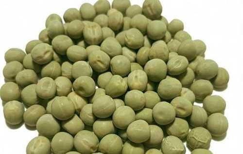 Семена Микрозелени Горох зеленый (Мадрас)