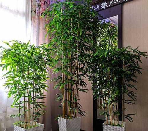 Искусственное дерево бамбук
