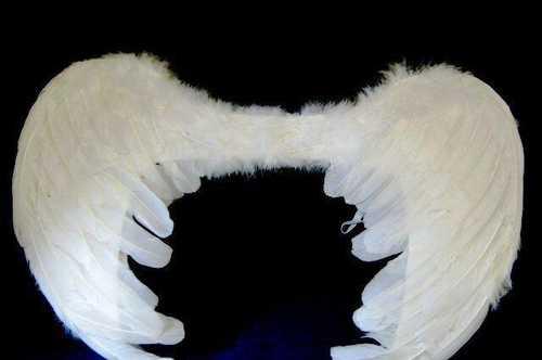 Крылья карнавальные Borosko перьевые, белые, 57-37 см (14-12-950)