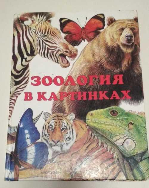 Книги для детей