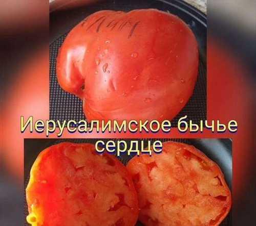 Семена коллекционных вкусных томатов