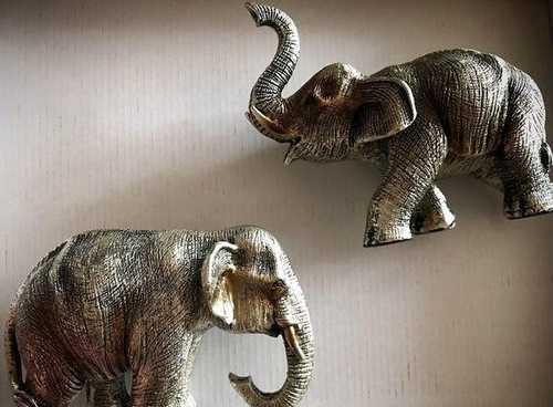 Слоны Индия