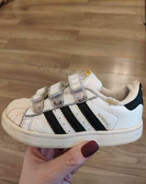 Adidas superstar 24
