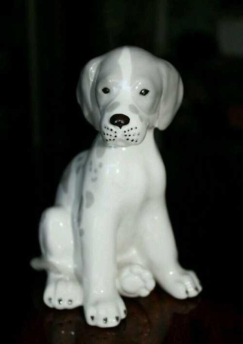 Фарфоровая статуэтка-щенок дога