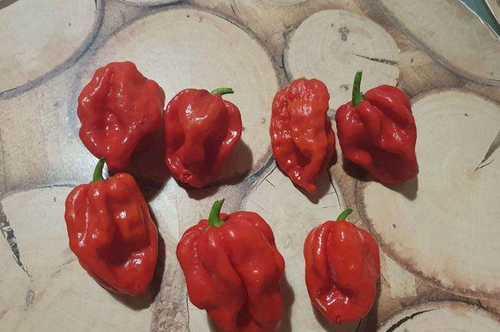 Семена carolina reaper