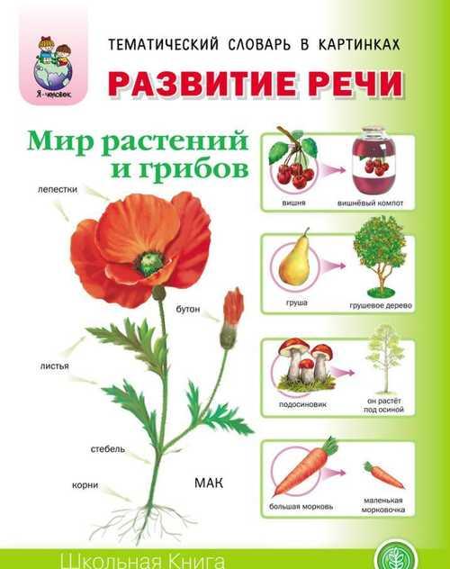 Развитие речи. "Мир растений и грибов"