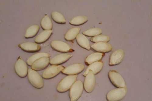 Семена тыквы 3 вида