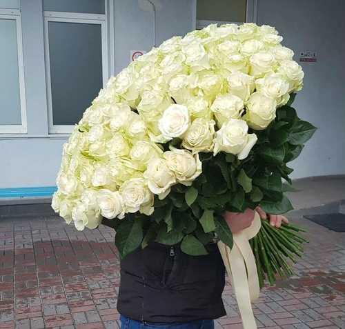 Букет из 101 белой розы (Эквадор) 70 см Mondial
