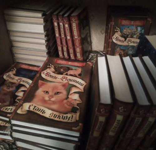 Книги Коты-Воители