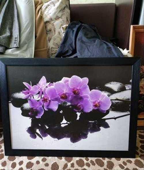 Картина с орхидеей