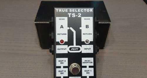 AMT TS-2 True Selector