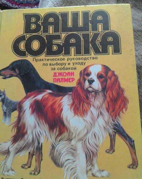 Книга про собак как энциклопедия с хорошими иллюст