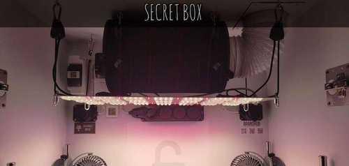 Гроубокс secret BOX 160x80x50