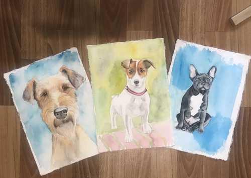 Картины с изображением собак, акварель