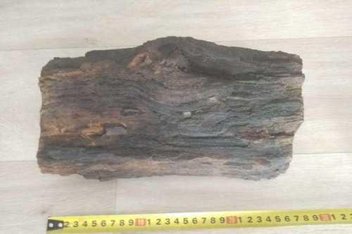 Окаменевшее дерево