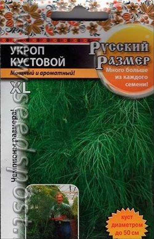 Семена Укроп Русский размер Кустовой, 200 шт