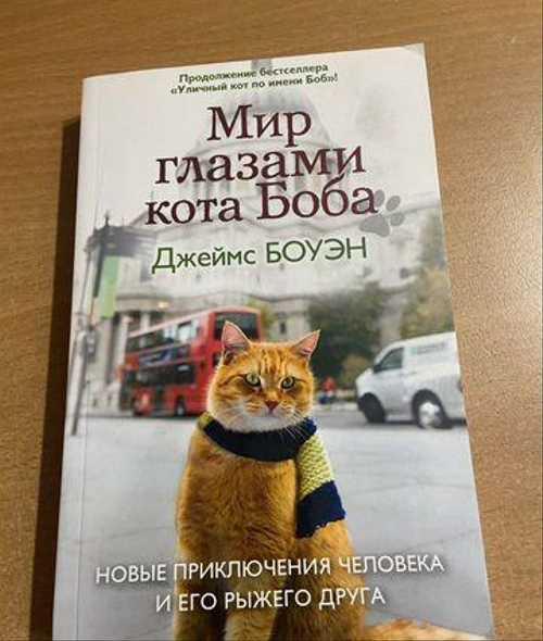 Книга глазами кота. Мир глазами кота Боба. Приключения кота Боба книга. Приключения кота Боба.