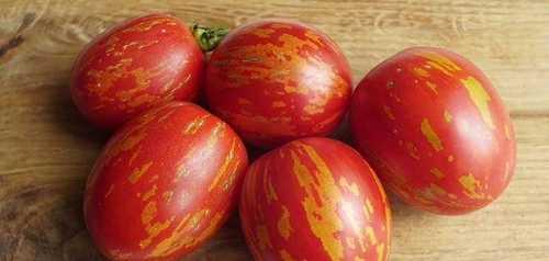 Рассада томата пасхальное яйцо, помидоры
