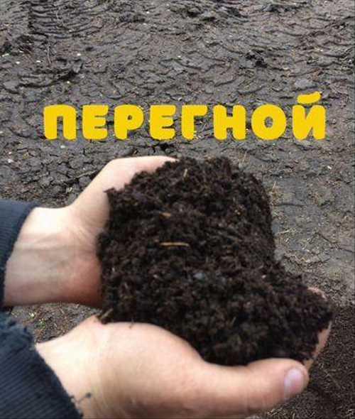 Перегной