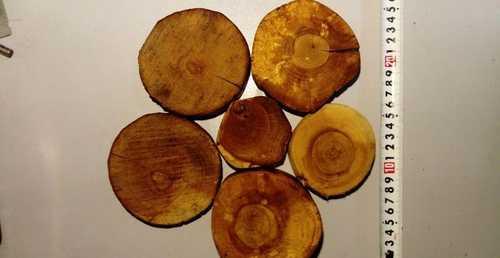 Спилы Ясеня. Слайсы из Ясеня