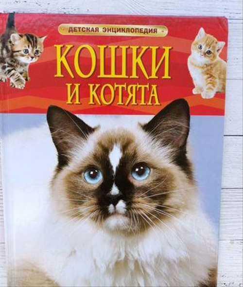 Детская энциклопедия "Кошки и котята"
