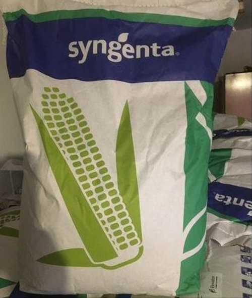 Семена кукурузы, семена подсолнечника