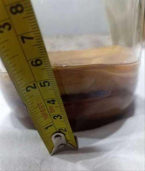 Огромный чайный гриб (с банкой)