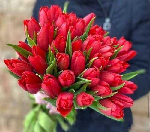 Цветы тюльпан доставка