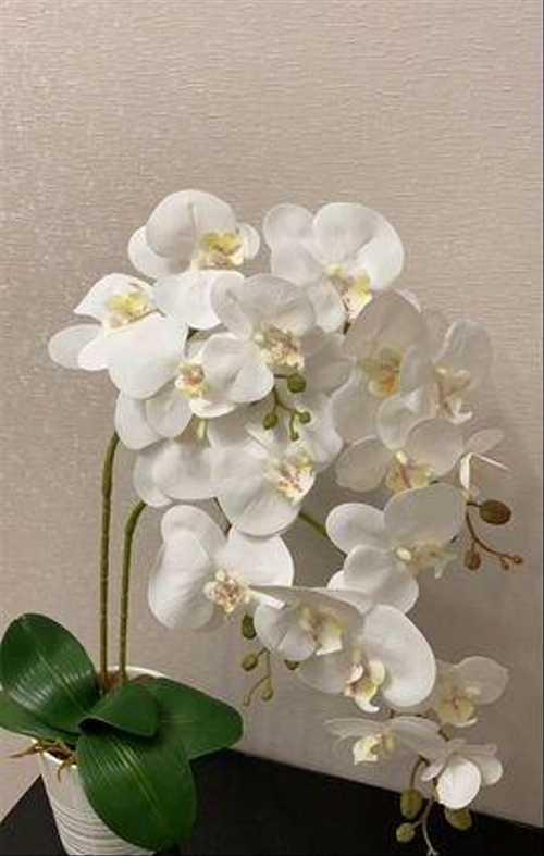 Орхидея фаленопсис из латекса