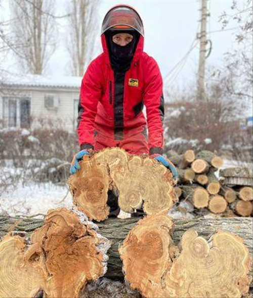 Спилы Акация под заливку