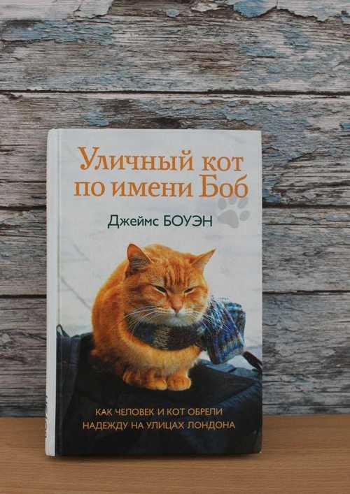 Книга уличный. Уличный кот по имени Боб книга. Уличный кот по имени Боб на немецком.