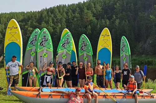 Sup Board Festima Ru Мониторинг объявлений