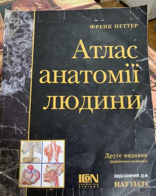 Атлас фрэнк. Атлас анатомии Фрэнк Неттер 6 издание. Атлас анатомии человека Фрэнк Неттер 7 издание. Атлас анатомии человека Фрэнк Неттер 4 издание. Анатомический атлас человека Фрэнк Неттер.