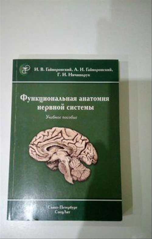 Функциональная анатомия нервной системы Гайворонск