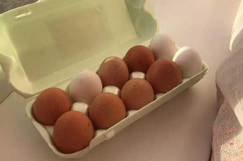 Упаковка для яиц яйца куриные