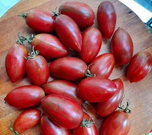 Рассада сортовых томатов