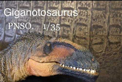 1 35 Gigantosaurus pnso
