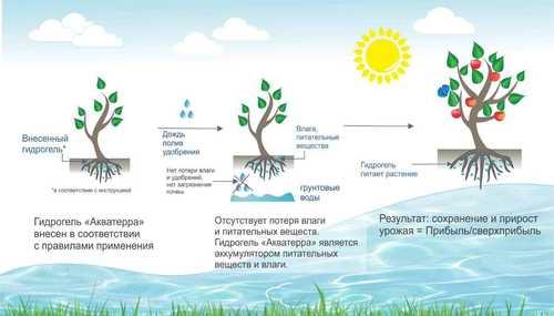 Гидрогель 1 кг