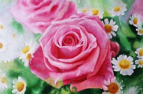 Картина "Розы. Бабочки и цветы". Акварель 24х32 см