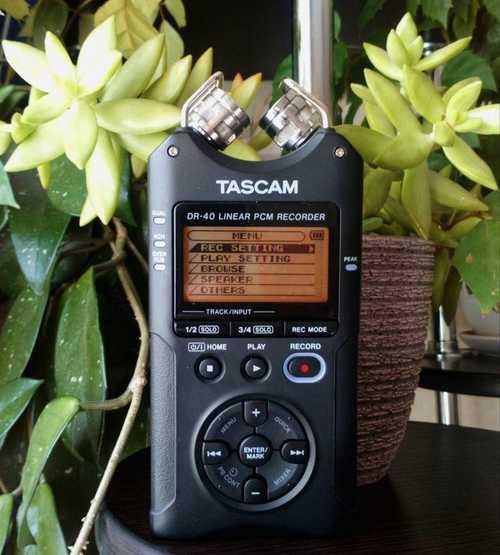 Tascam DR-40 рекордер портативный цифровой диктофо