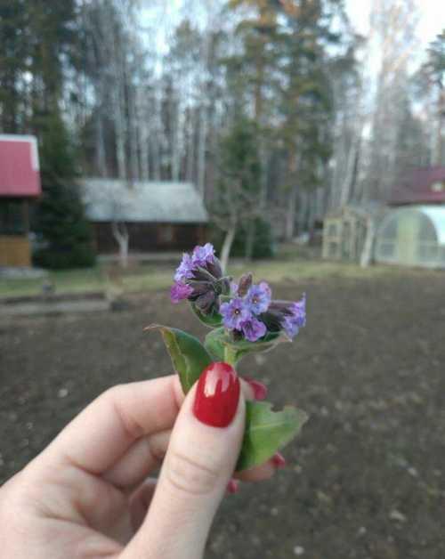 Бонусы мвидео