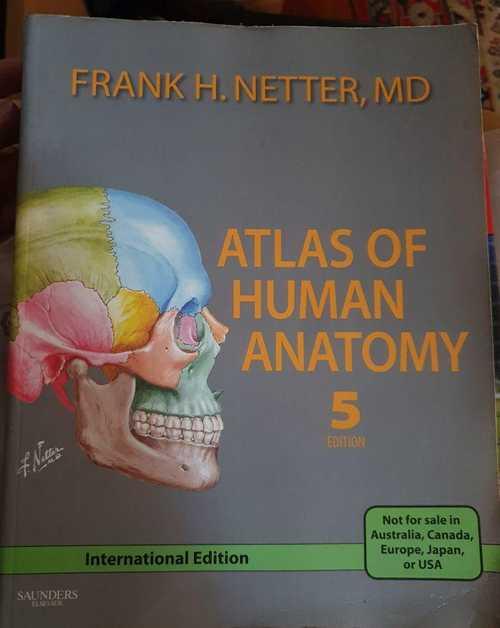 Atlas of Human Anatomy, International edition