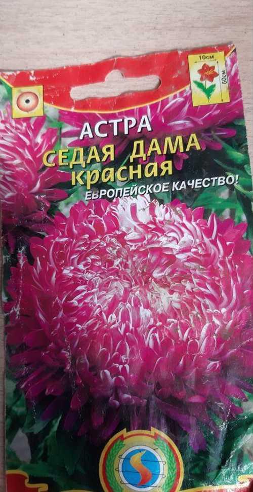 Рассада Астр